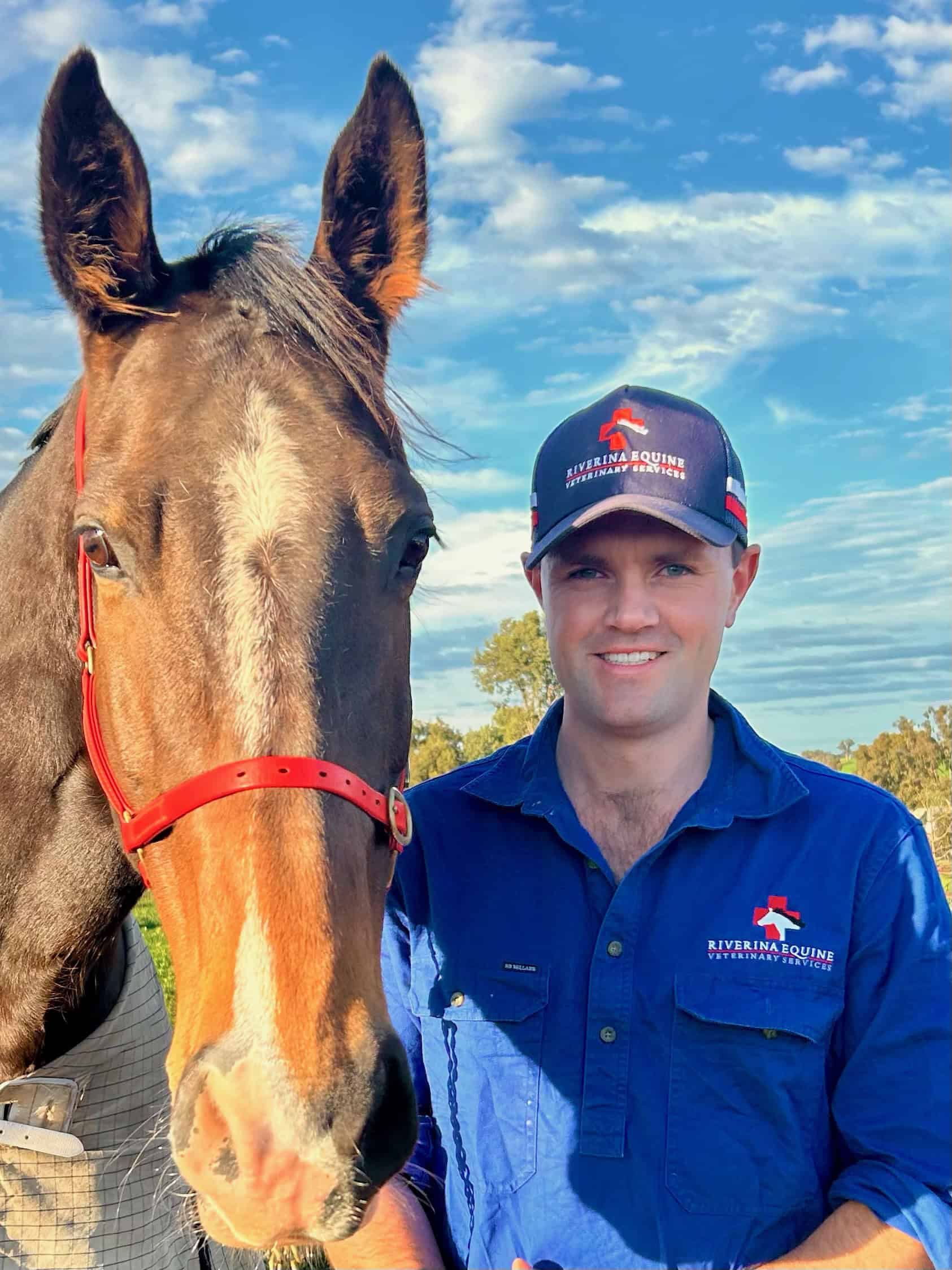 Lachie: Your Trusted Equine Veterinarian in Wagga Wagga